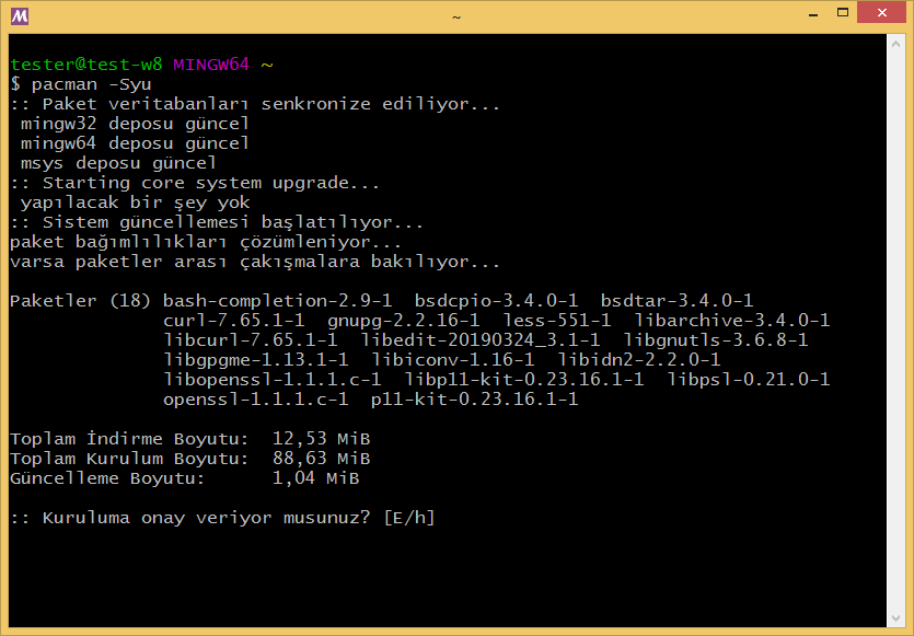 MSYS2 Kurulumu — Gömülü Sistem Alıştırmaları 0 pre-alpha belgelendirme ...